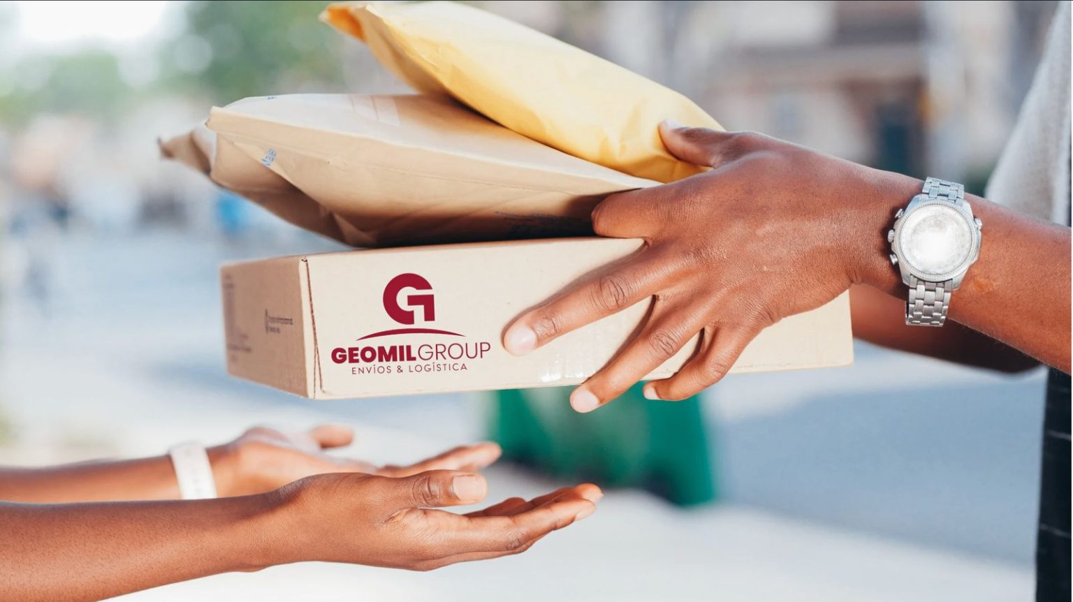 Casillero Virtual – Geomil Group